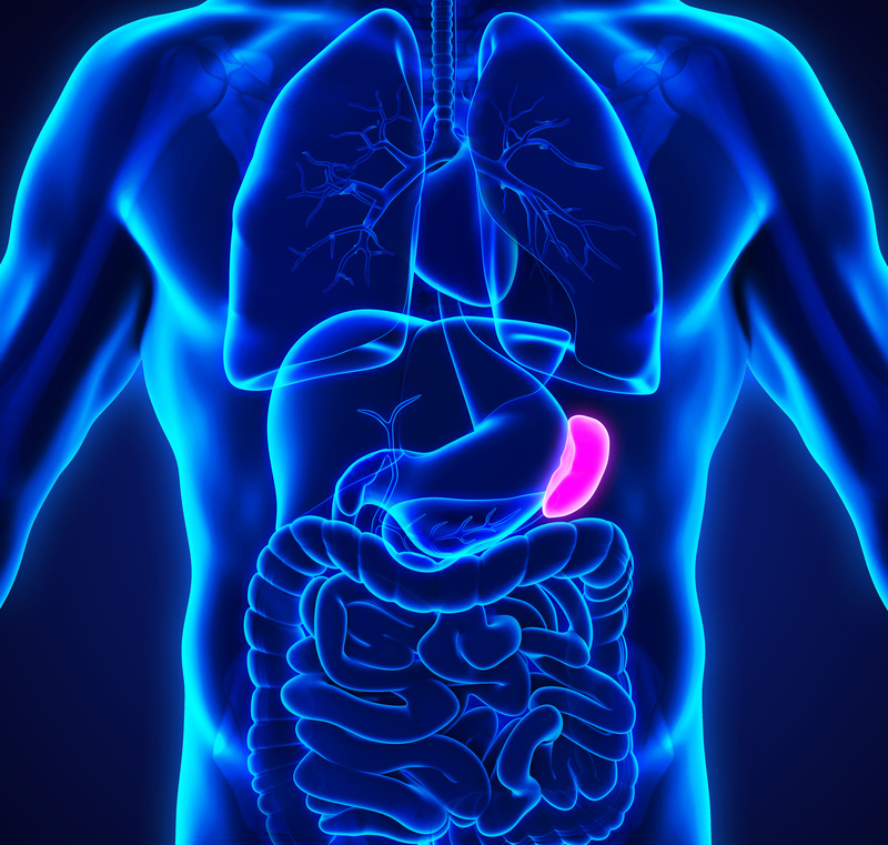 Lymfesystemet_TIMES-7