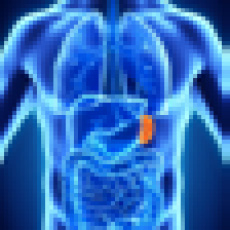 Lymfesystemet_TIMES-7